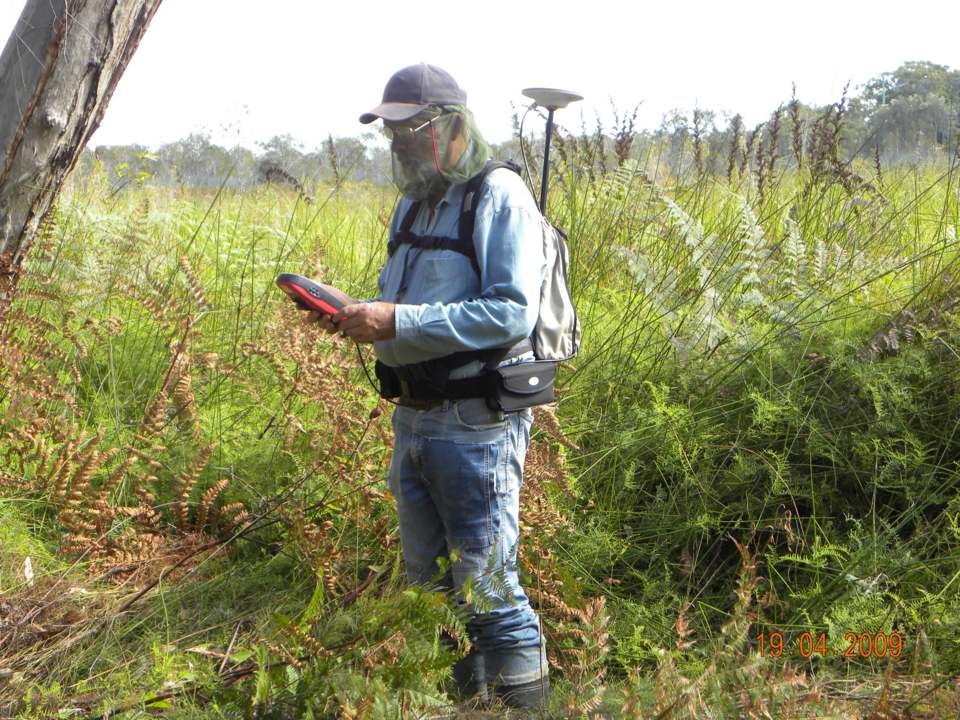 Get involved – Bay Islands Conservation Inc.